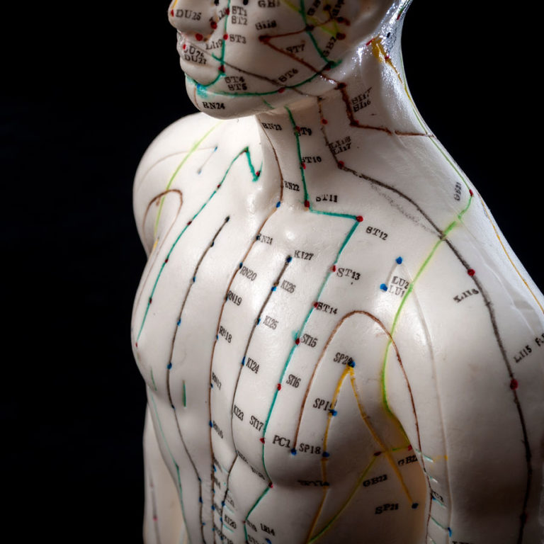 Introduction to Meridian Theory Workshop - Aria Medispa